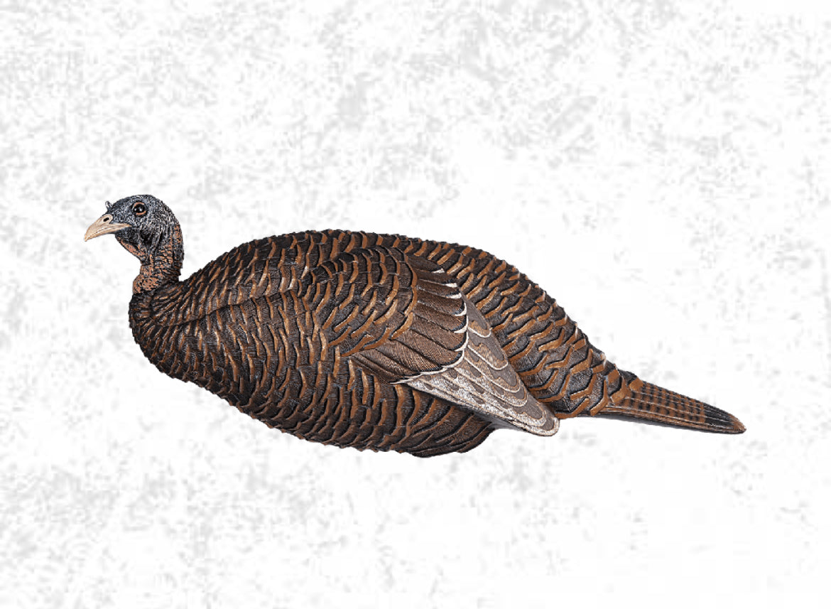 Flextone Thunder Chick Breeder Decoy – Hardcore Outfitters